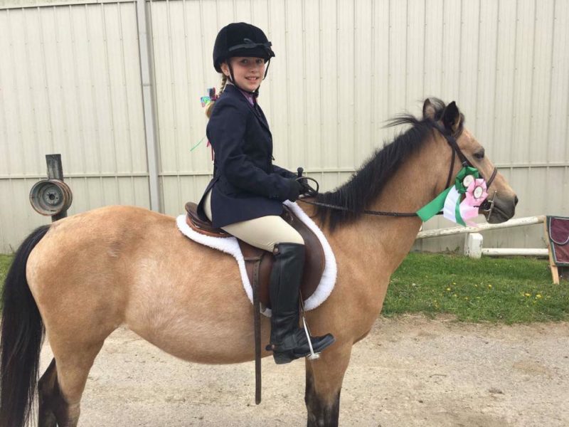 Lesson Horses – Windermere Equestrian Center