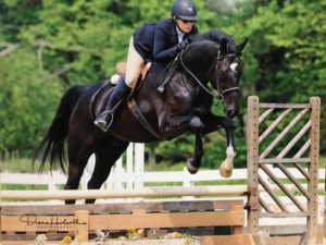 Lesson Horses – Windermere Equestrian Center