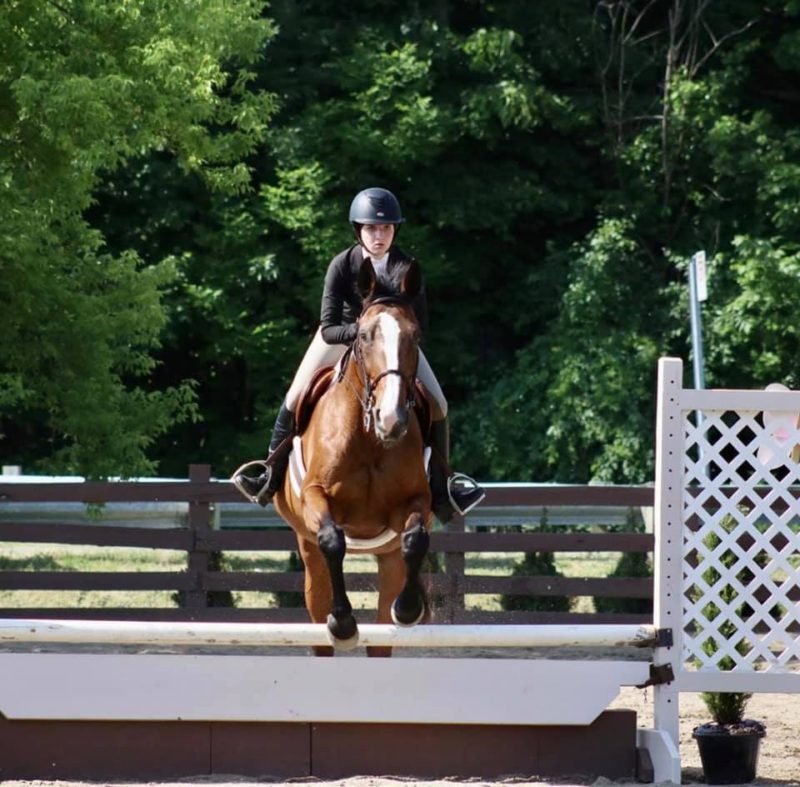 Lesson Horses – Windermere Equestrian Center